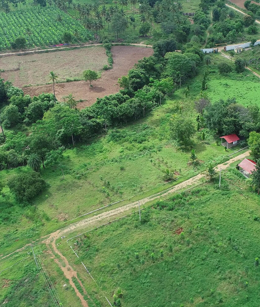 Gated Community Farm land | Gated Farm land near Bangalore