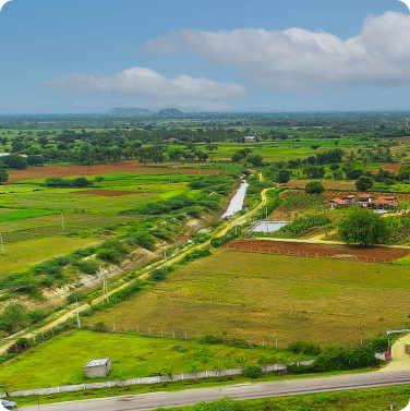 Gated Community Farm land | Gated Farm land near Bangalore