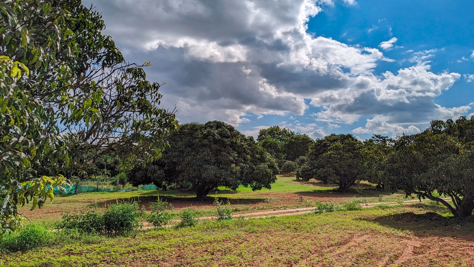 Hosachiguru Maamara Farms
